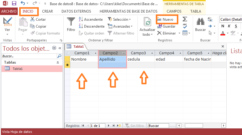 ¿Cómo Crear un Registro en Microsoft Access? - Guía paso a paso ...